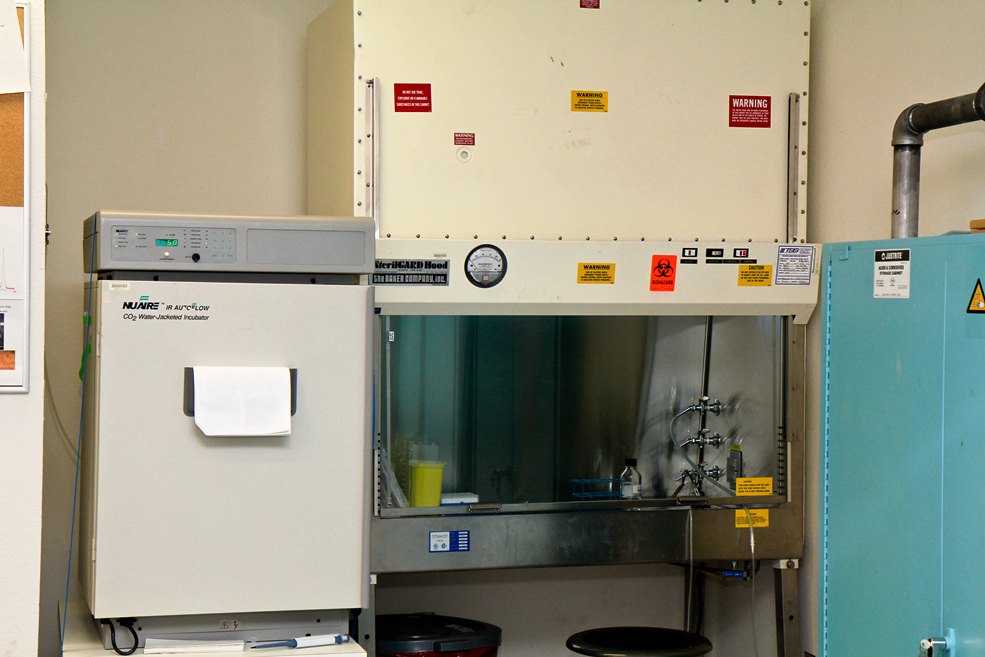 Lab Incubator BurkeLab
